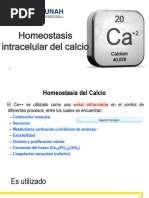 Función y Regulación del Calcio en Células | PDF | Neurona | Biología ...