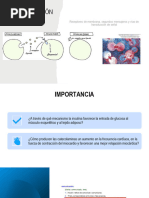 Complejo SNARE y fusión de membranas | PDF | Ácido gamma-aminobutírico ...