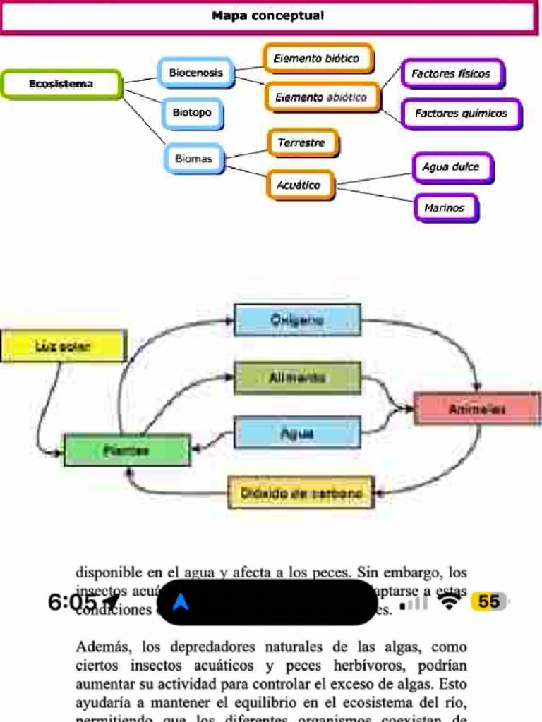 Trabajo Eco 2 | PDF | Red alimentaria | Ecosistema
