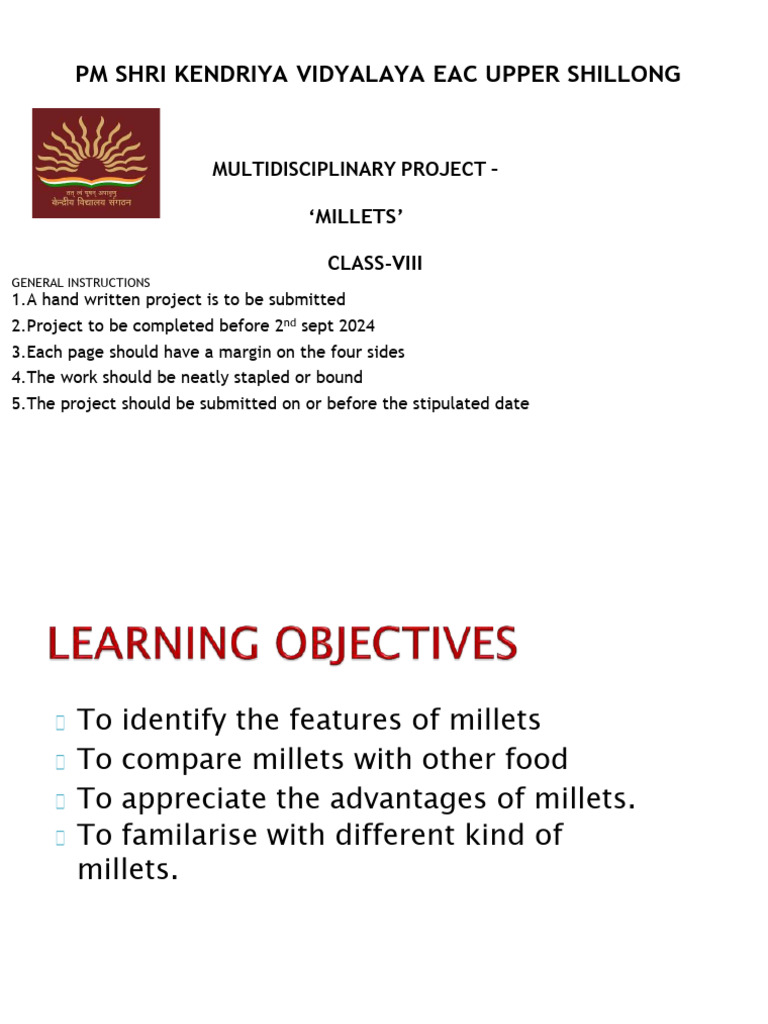 Class 8 MDP | PDF