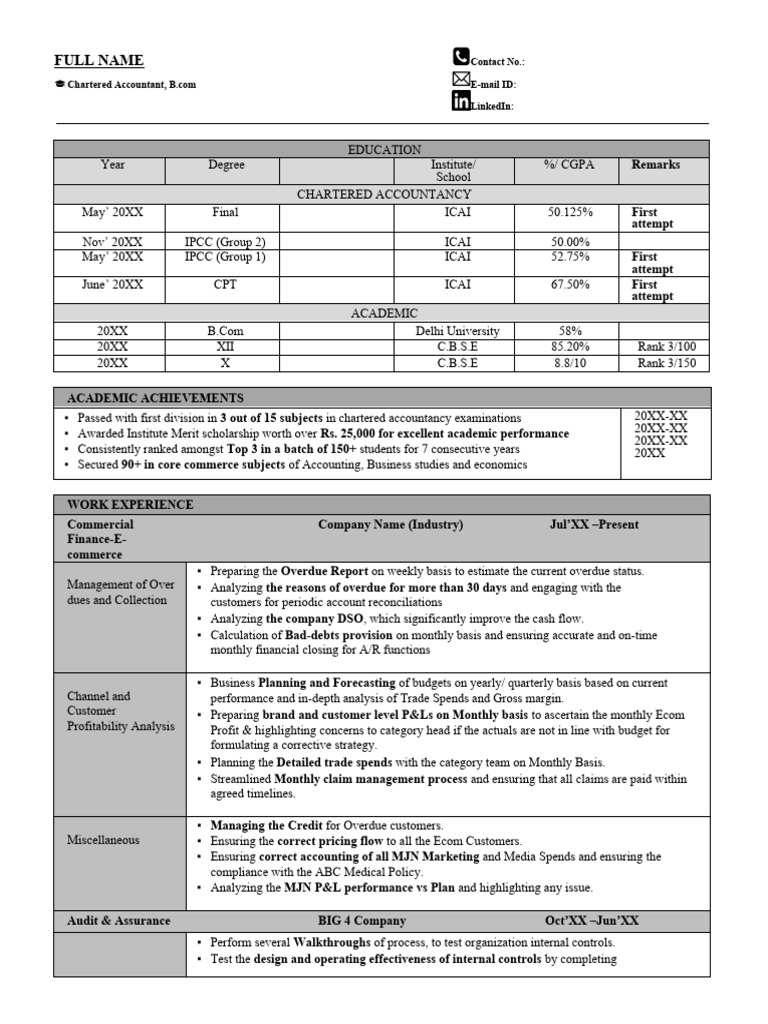 TB - FP&A Profile Resume - Template | PDF | Audit | Internal Control
