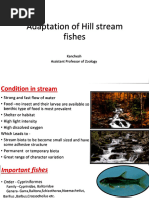 Amphioxus | PDF | Animal Anatomy | Zoology