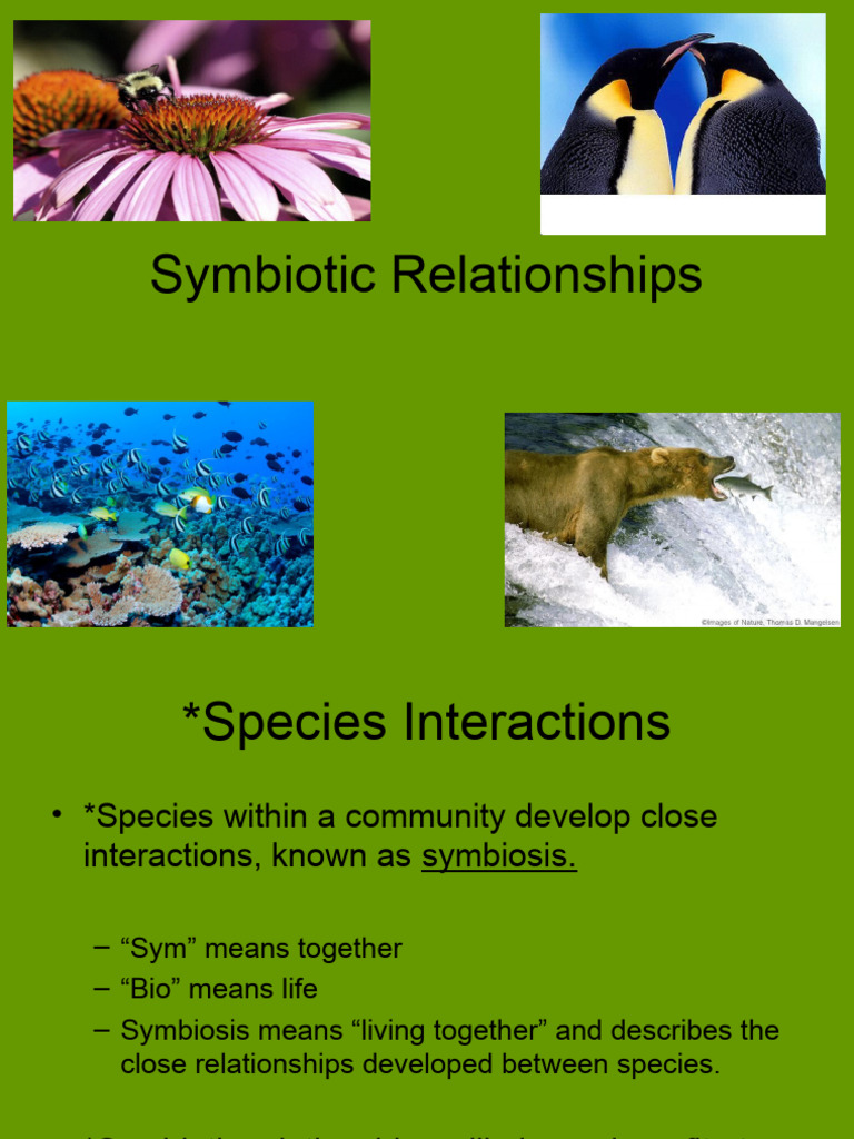 Symbiotic Relationships | PDF | Symbiosis | Predation