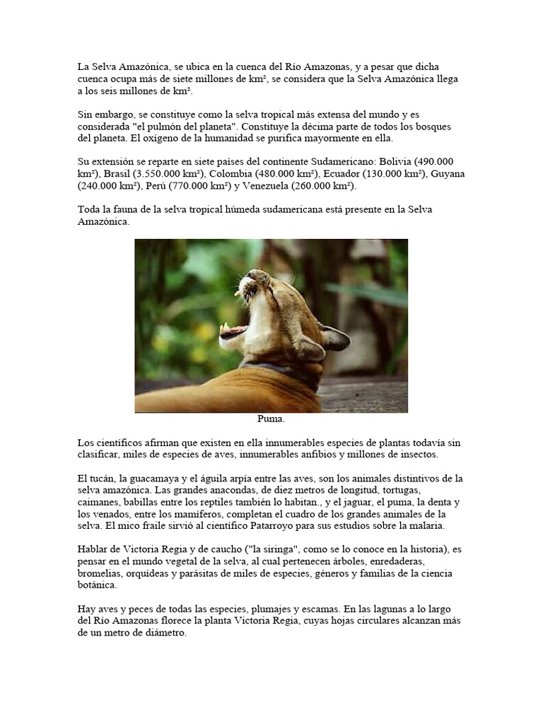 La Selva Amazónica | PDF | Tecnología