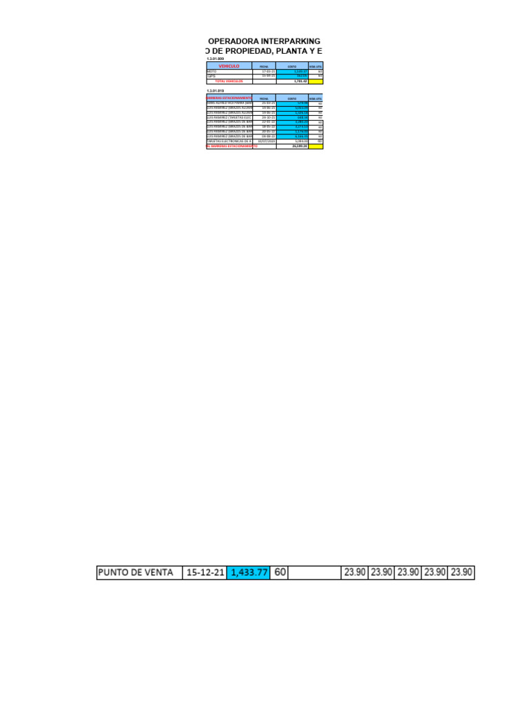 Inventario de Activos Interparking | PDF