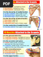 Biochemistry Faiq Ahmad | PDF