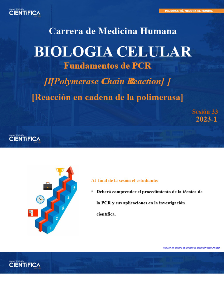 Fundamentos de la Técnica PCR en Biología | PDF | Reacción en cadena de ...