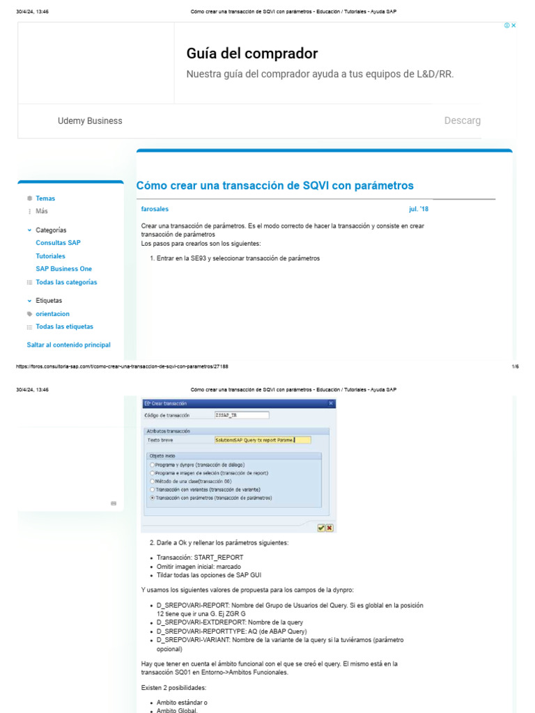 Cómo crear una transacción de SQVI - SQ01 con parámetros - Educación _ Tutoriales - Ayuda SAP ...