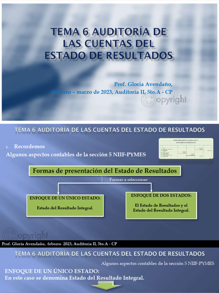 Auditoría y Control en NIIF-PYMES | PDF | Auditoría | Estado de resultados