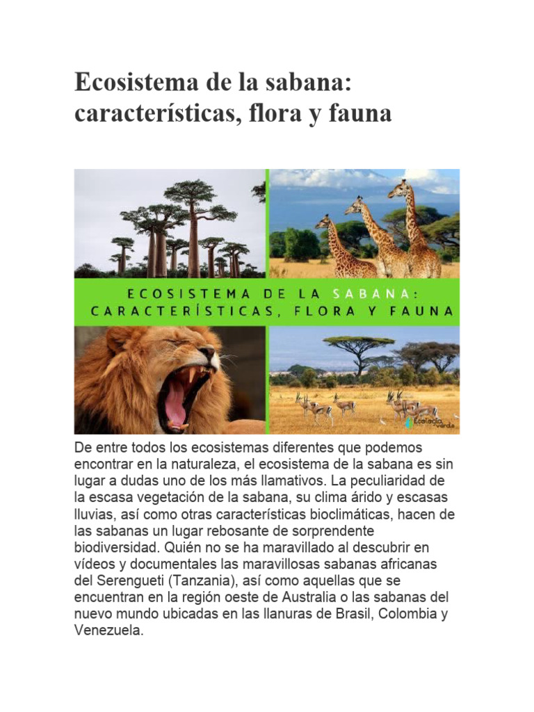 Ecosistema de La Sabana | PDF | Sabana | Clima templado