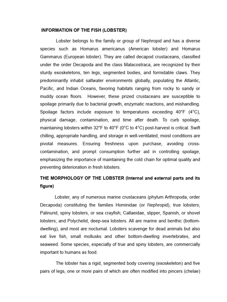 The Morphology of Lobster | PDF | Lobster | Aquaculture