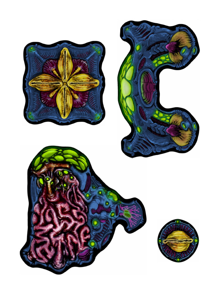 ASC Objectives | PDF