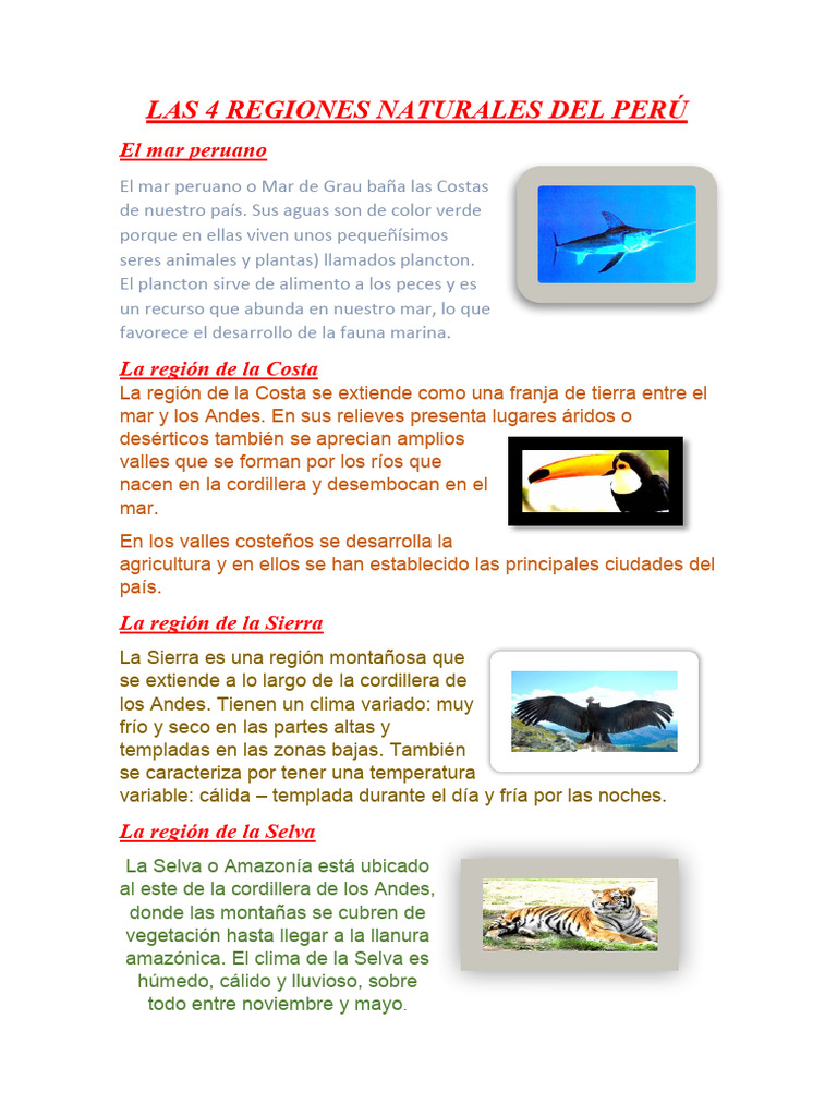 LAS 4 REGIONES NATURALES DEL PERÚ | PDF