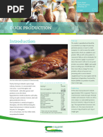 Hisex Brown Layer Management Guide | PDF | Selective Breeding | Chicken