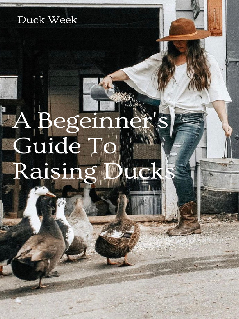 Updated Duck Week PDF Printable 1 | PDF | Duck | Foods