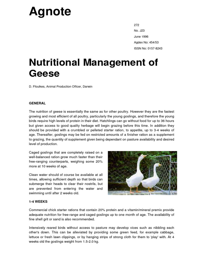 Nutritional Management of Geese | PDF | Agriculture | Food Industry