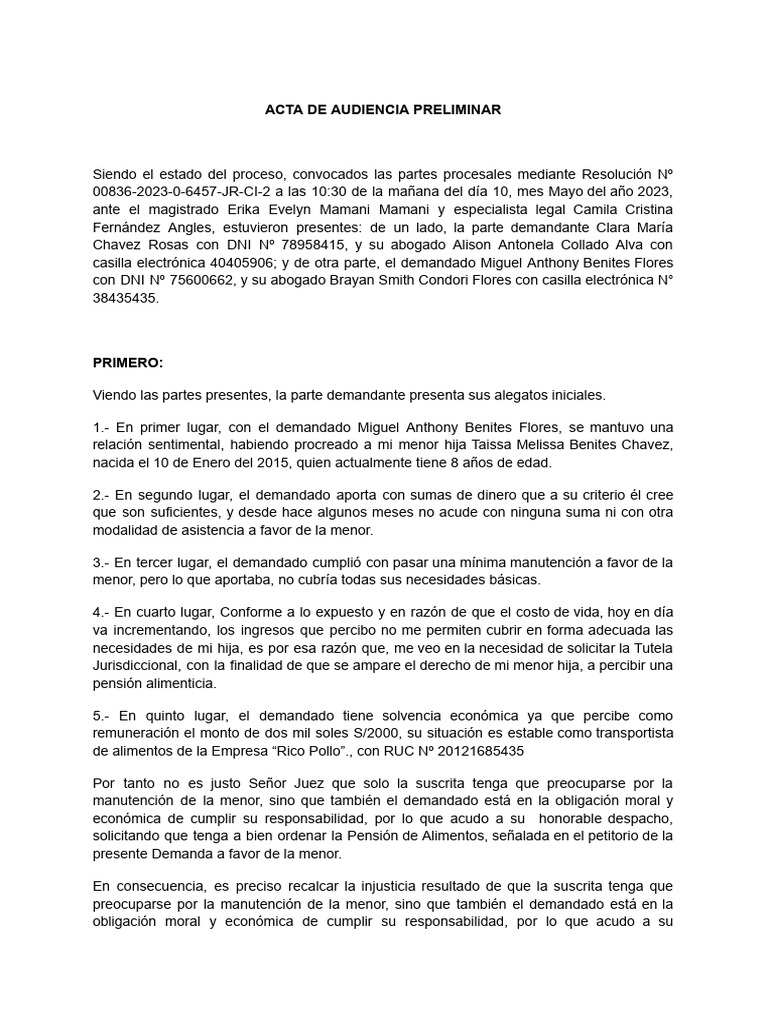 Acta de Audiencia Preliminar | PDF | Pensión alimenticia | Ley procesal