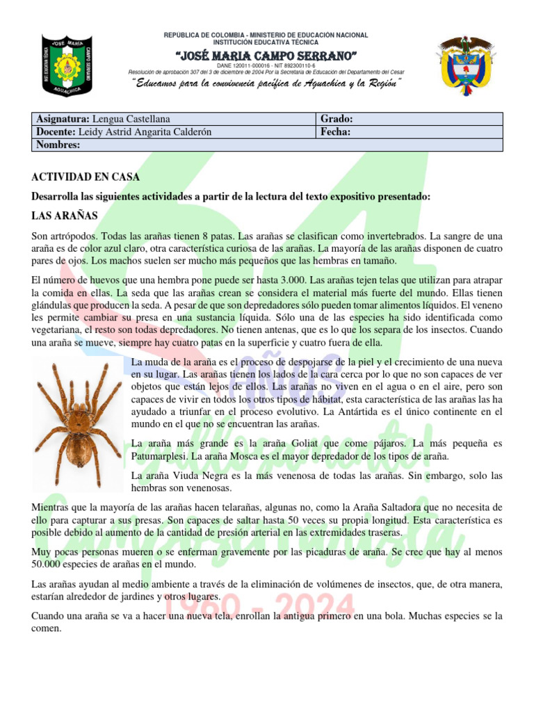 Guia 6 - Actividad Texto Expositivo | PDF | Araña | Depredación