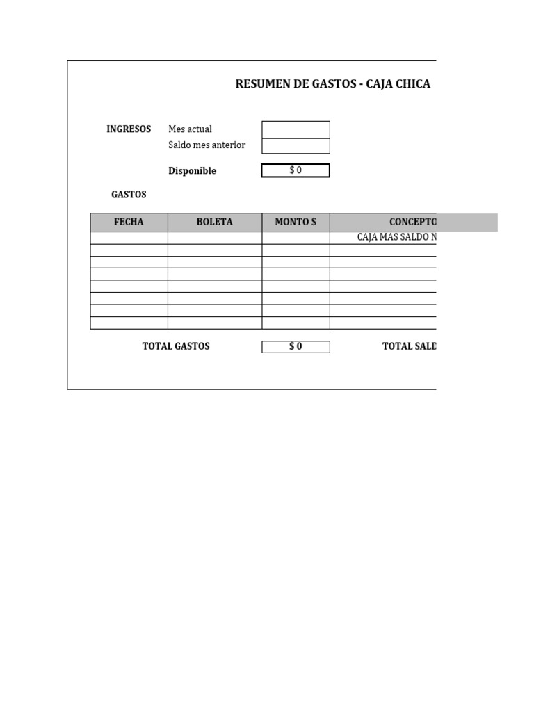 Modelo Caja Chica | PDF