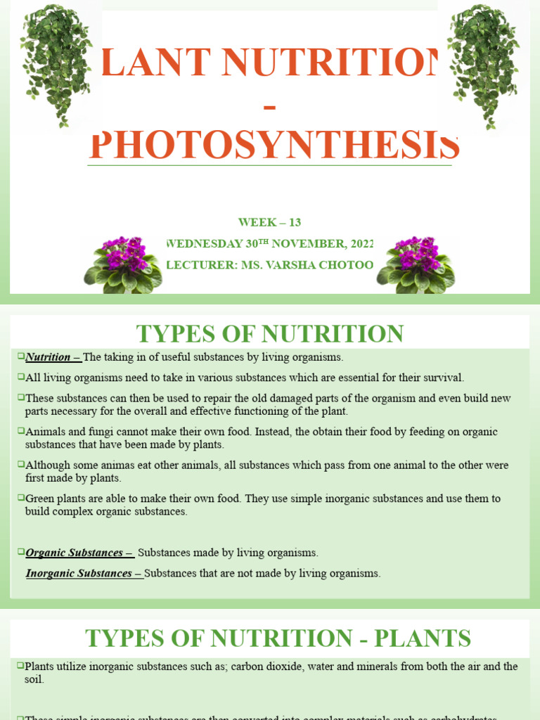 Plant Nutrition and Photosynthesis Guide | PDF | Leaf | Diet & Nutrition