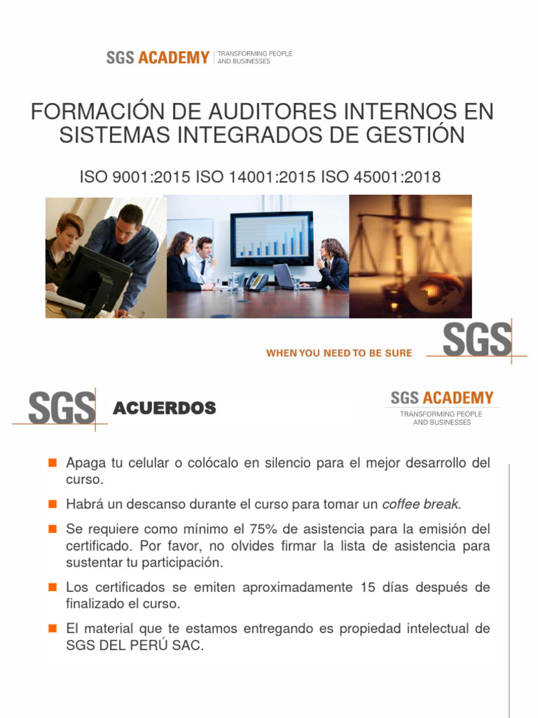 C-Faisig-007-Faui Sgi V1 | PDF | Auditoría | Business