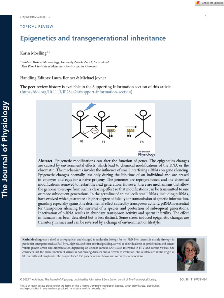 The Journal of Physiology - 2023 - Moelling - Epigenetics and Transgenerational Inheritance ...