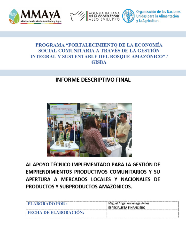 Informe Final - GISBA - EspFinanciero | PDF | Iniciativa empresarial ...