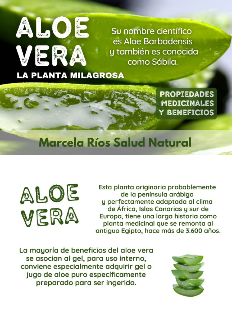 Aloe Vera | PDF