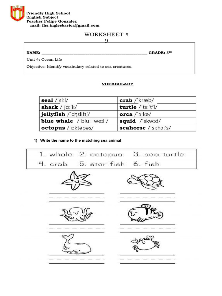 Ocean Life Vocabulary Worksheet | PDF