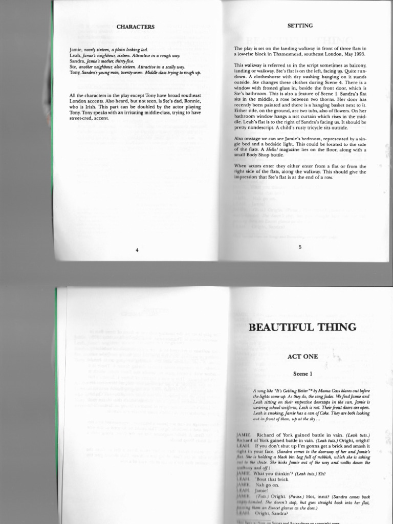 Beautiful Thing | PDF