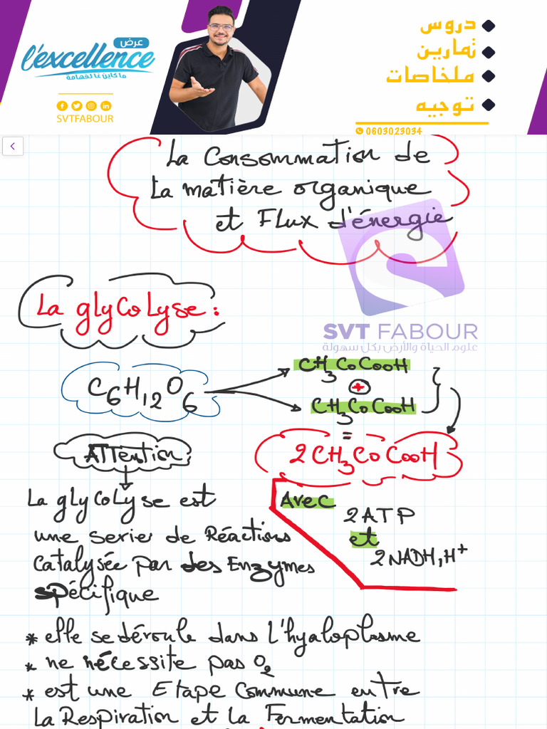 Résumé d'ATP | PDF