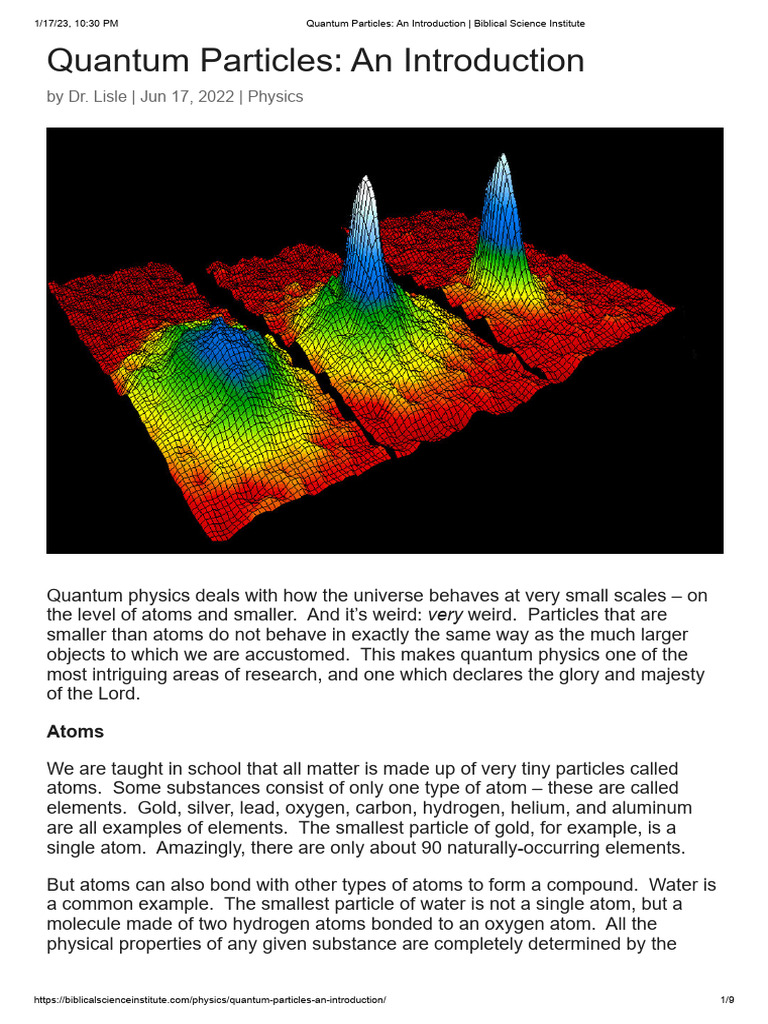Quantum Particles | PDF | Spin (Physics) | Electron