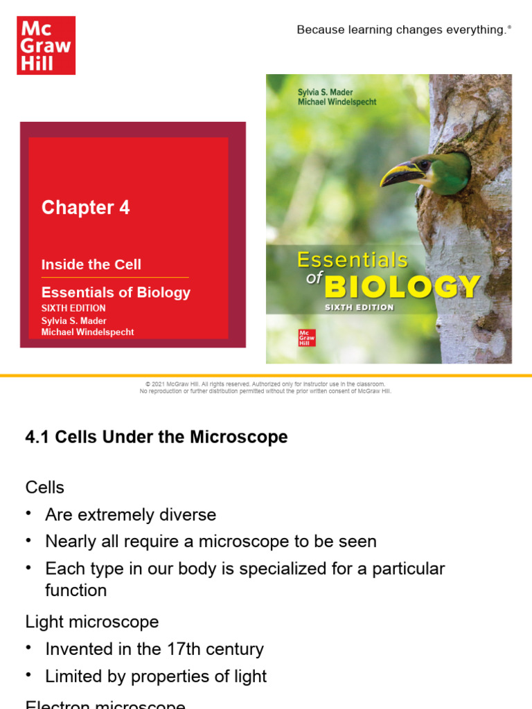 Mader Essentials 6e Chap04 LecturePPT Accessible | PDF | Endoplasmic Reticulum | Cell Nucleus