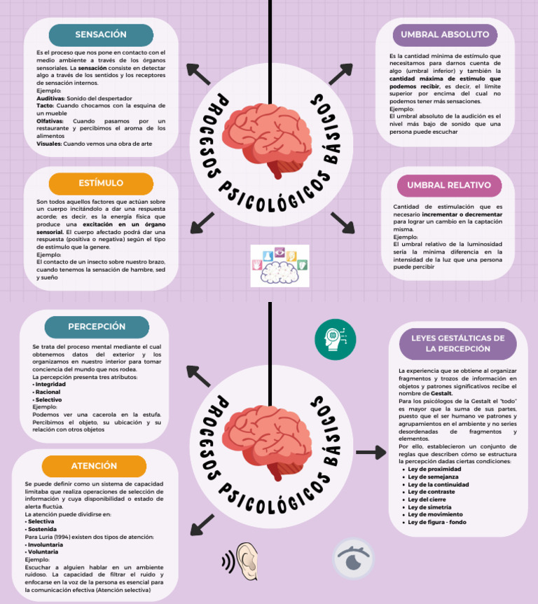 Procesos Psicológicos | PDF | Sentidos | Percepción