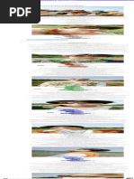 Tf Family 4th Generation Members Profile Pdf