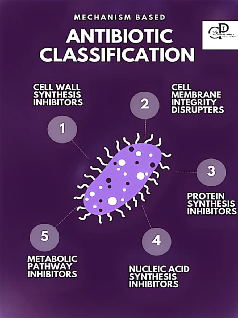 Antibiotics Classification - 6 | PDF