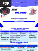 Anatomie du diaphragme stylien | PDF | Tête et cou chez l'humain ...