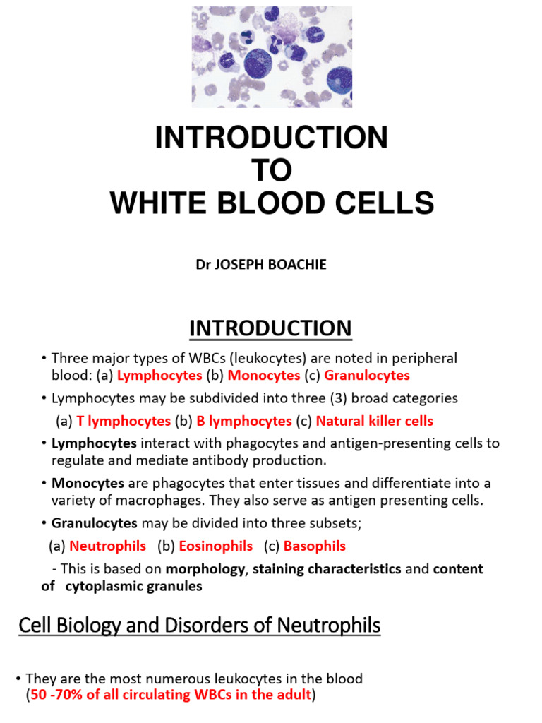 Iintroduction To White Cells | PDF | White Blood Cell | Granulocyte