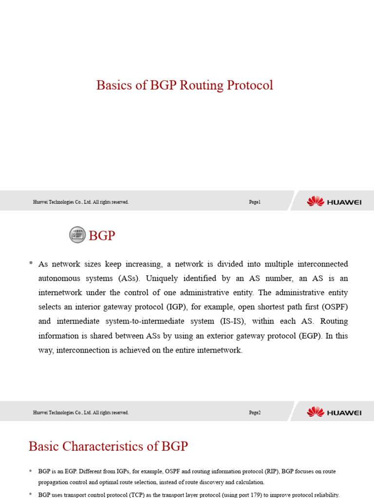 Day 3 BGP+Basics+principles | PDF | Routing | Computing