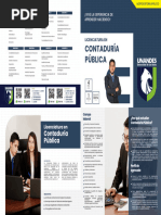 Plan de Estudios - Contaduría Pública | PDF | Contador | Contabilidad