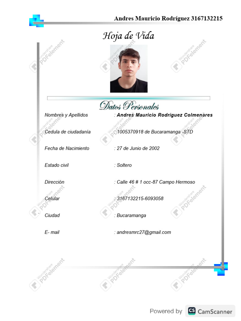 Hoja de Vida Andres Rodriguez | PDF