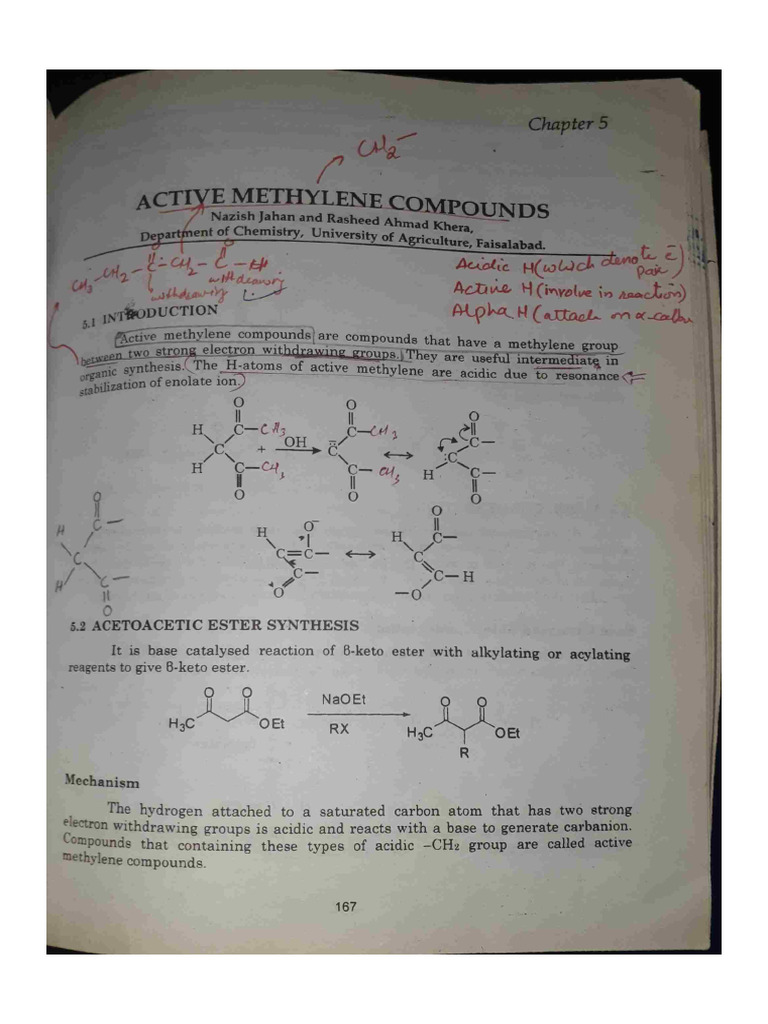 Active Methylene PDF 20240608 14.59.30 | PDF