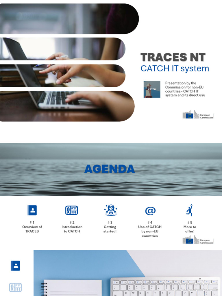 TRACES IT Catch System | PDF | Computing