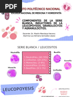 Polarización de Macrófagos M1 y M2 | PDF | Macrófago | Citocina