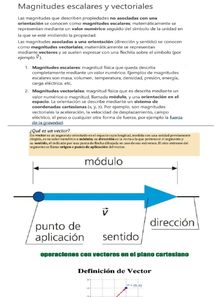 Magnitudes Escalares y Vectoriales | PDF