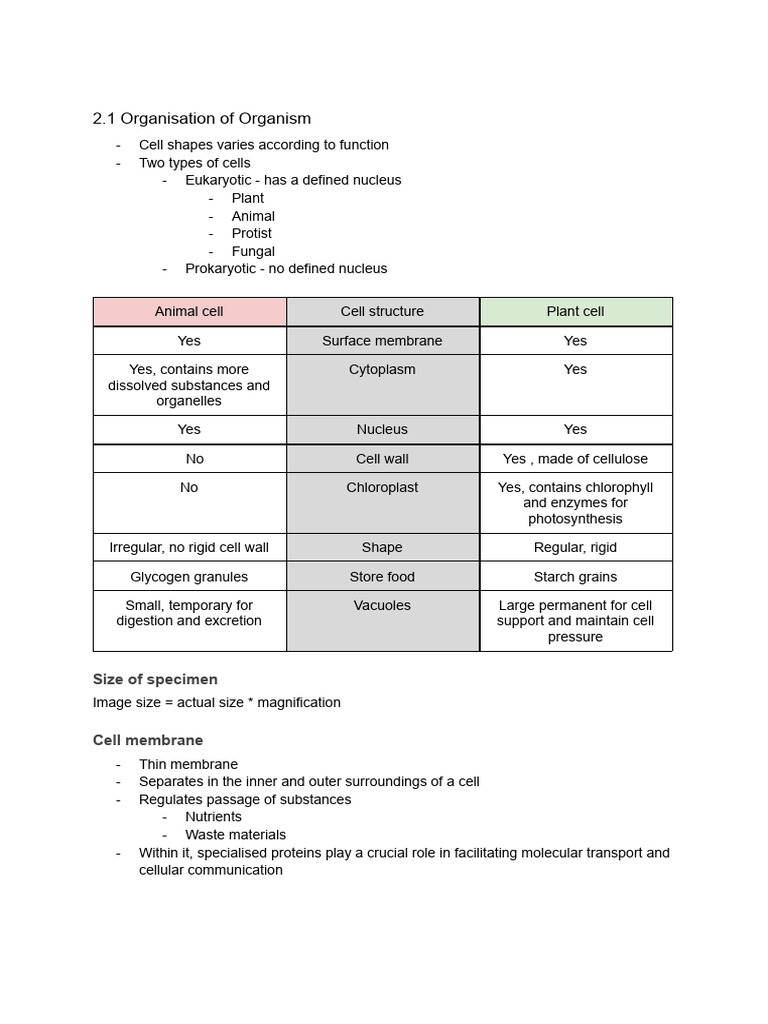 Cell Structure and Function Overview | PDF | Cell (Biology ...