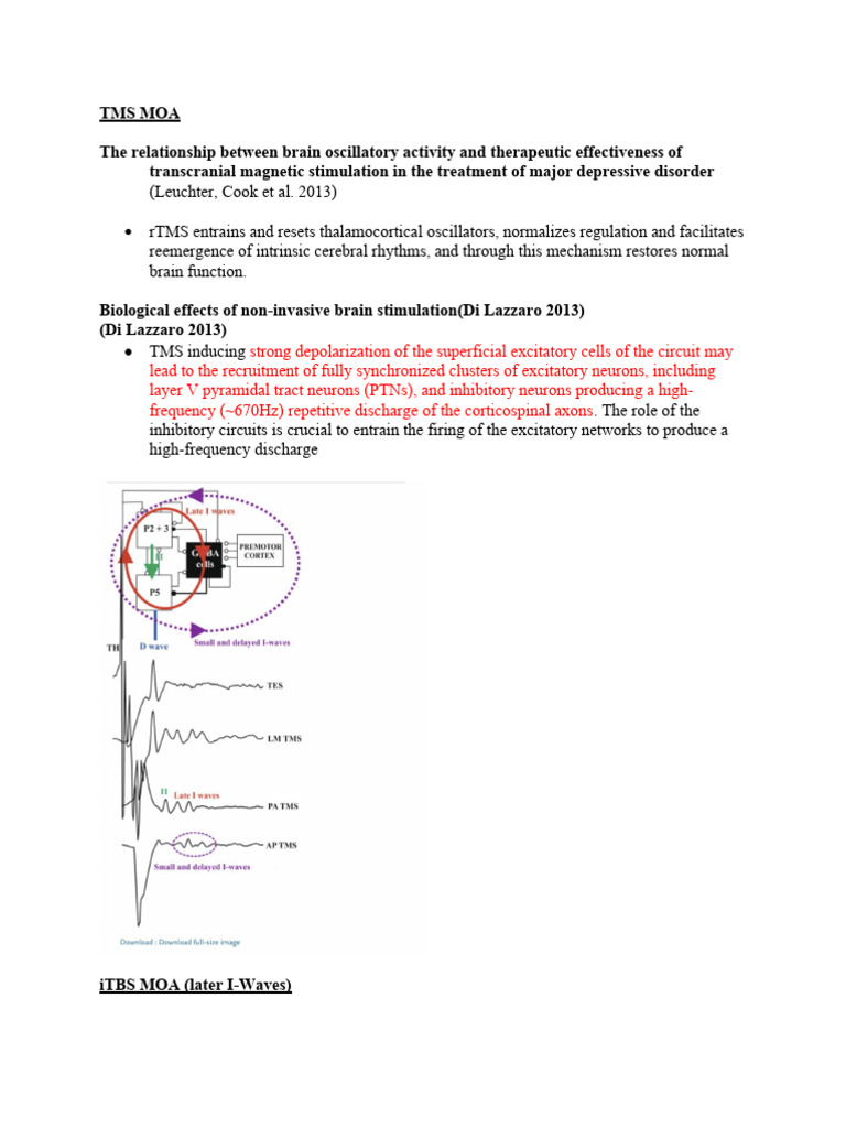 Shortened TMS Literature Review | PDF | Inhibitory Postsynaptic ... Shortened TMS Literature Review | PDF | Inhibitory Postsynaptic ...