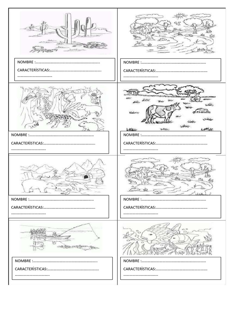 Biomas para Pintar | PDF