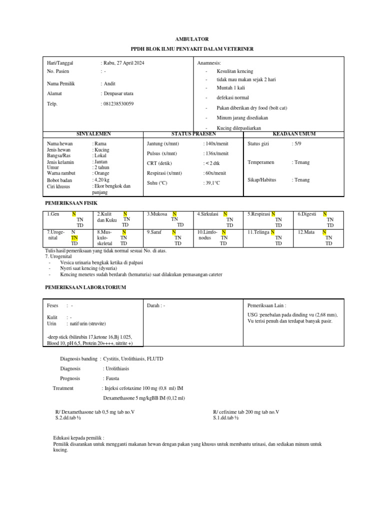 Ambulator Urolithiasis Kucing_Rama | PDF