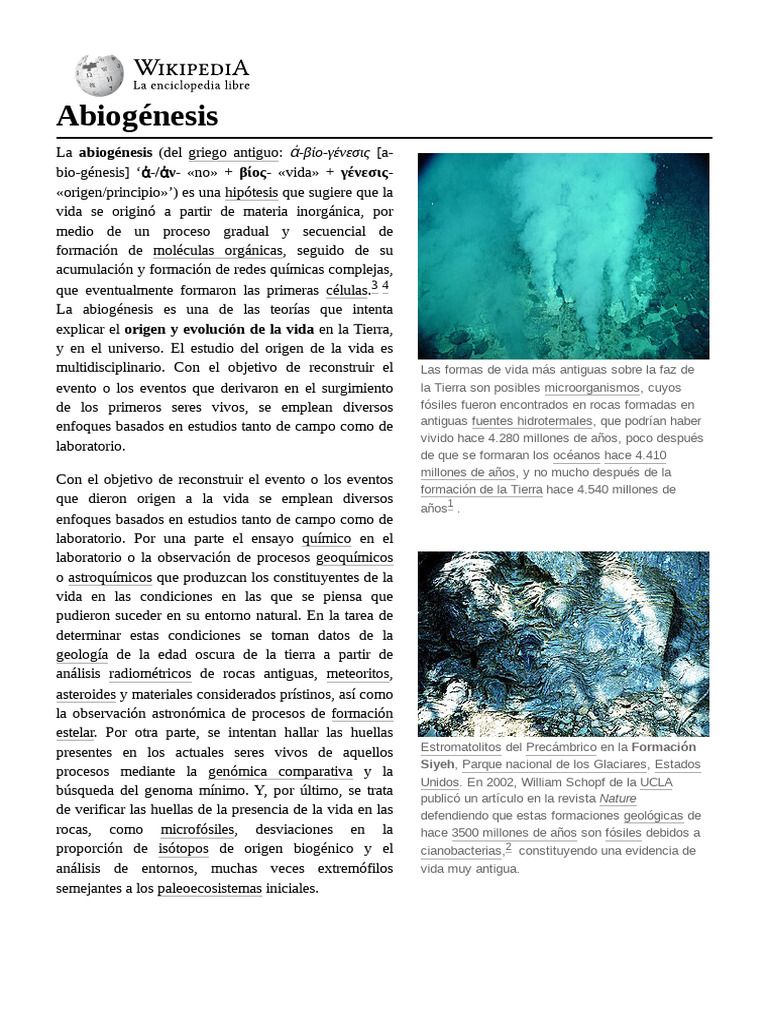 Abiogénesis | PDF | Abiogénesis | Rna